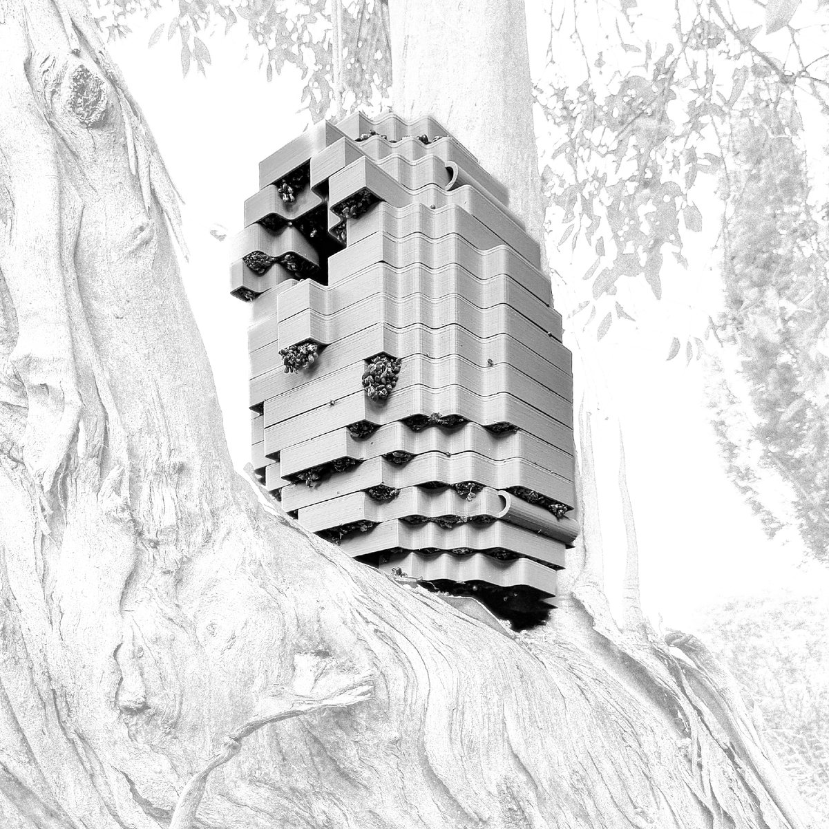 Prosthetic Tree Hollows - Melbourne University Collaboration ...