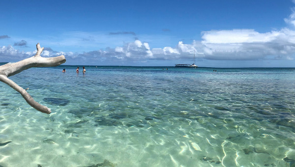 McConnell Dowell - Creative Construction